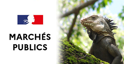 DEAL de la Martinique